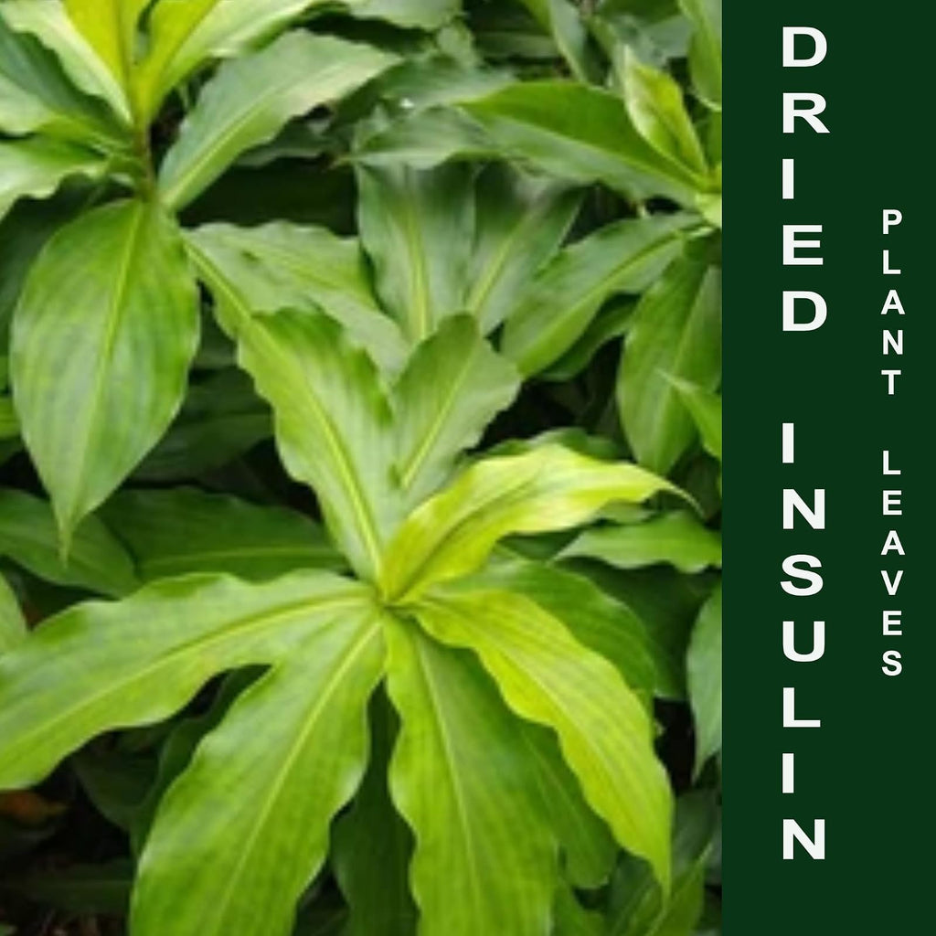 ginger tea for digestion