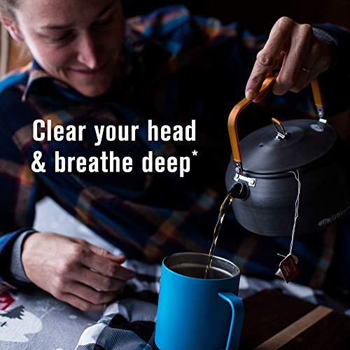 ginger tea for digestive support