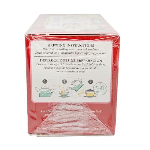 ginger tea for soothing digestion