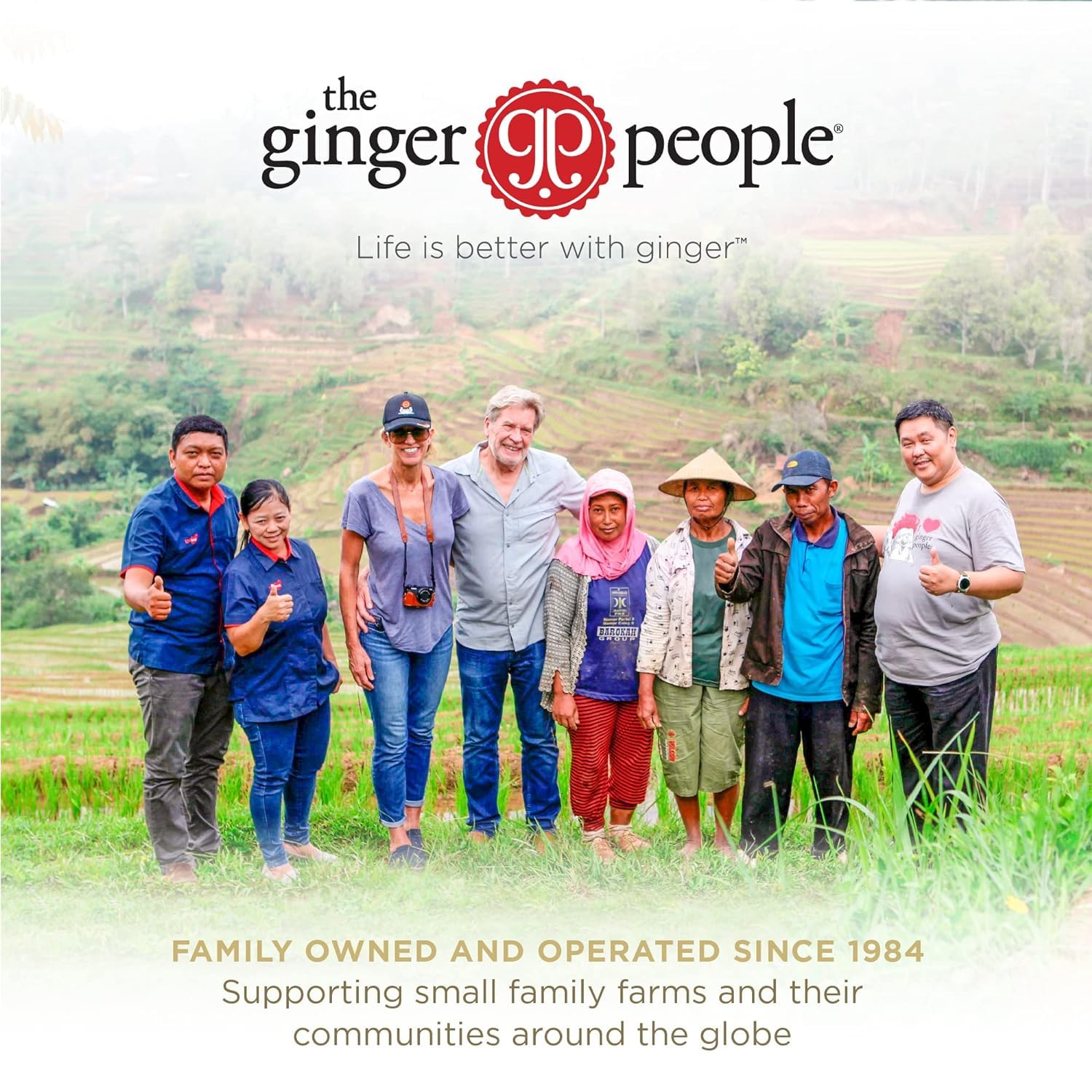 ginger tea pack for sharing