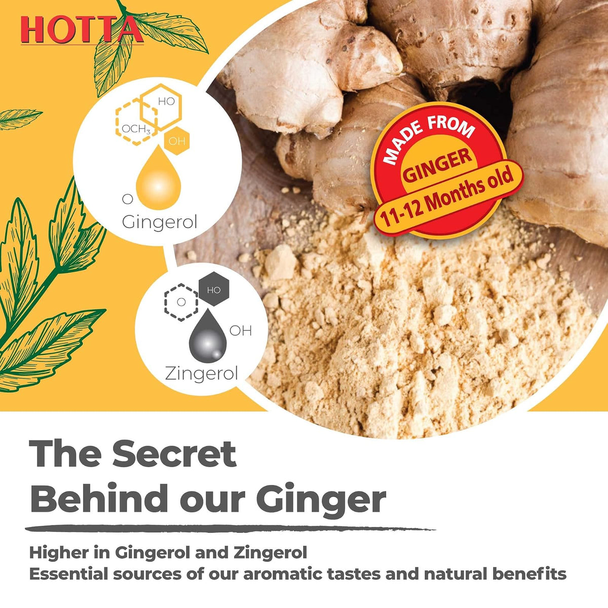 ginger tea sachets for convenience
