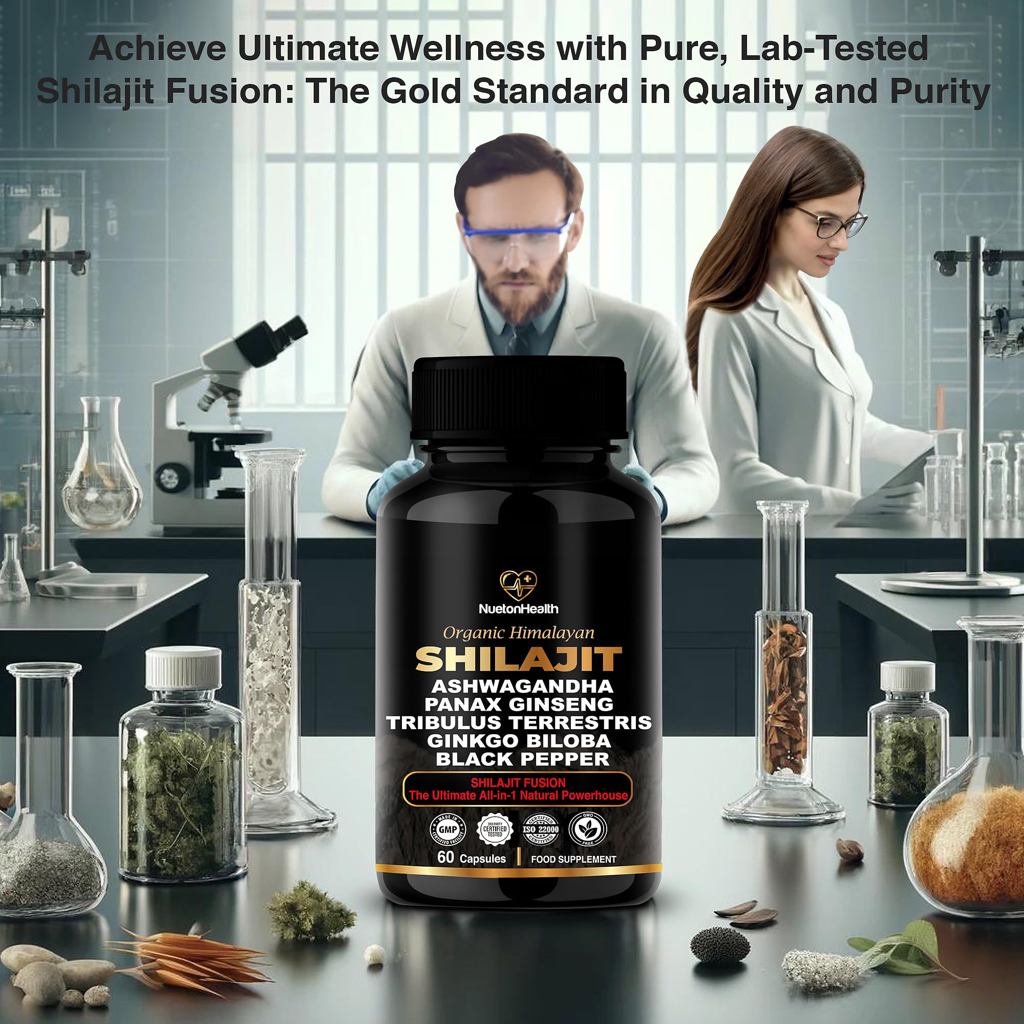Ginkgo and shilajit for cognitive support