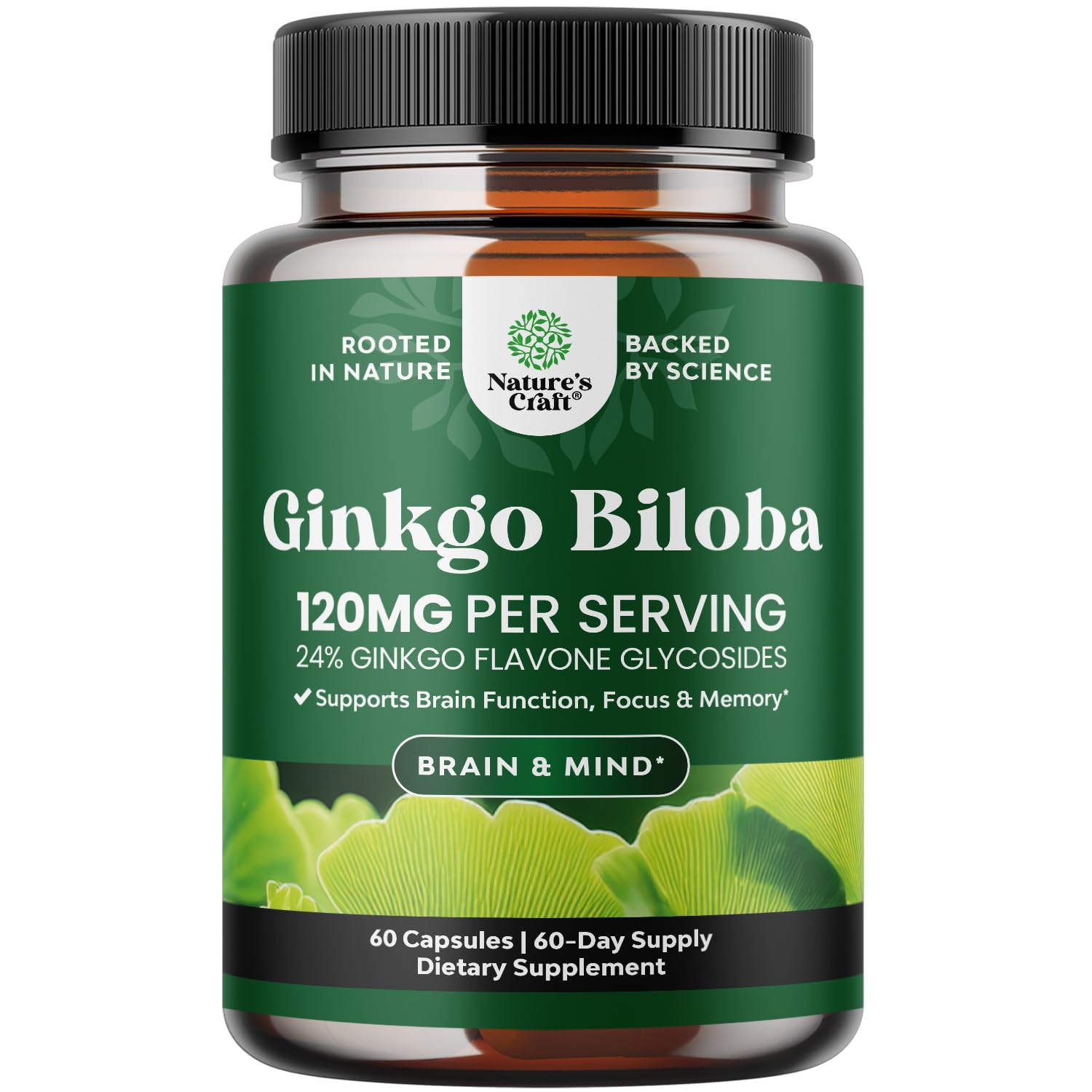 Ginkgo Biloba 120 mg capsules