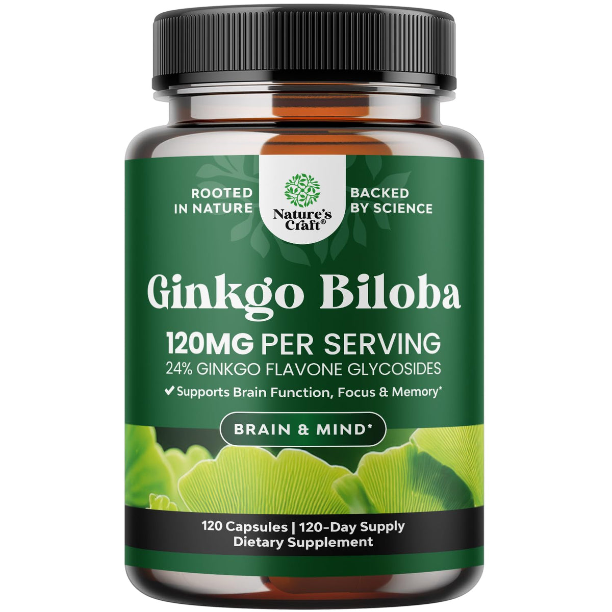 Ginkgo Biloba 120 mg capsules