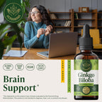 Ginkgo Biloba 500 mg herbal supplement