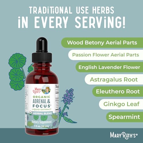 ginkgo biloba and astragalus benefits