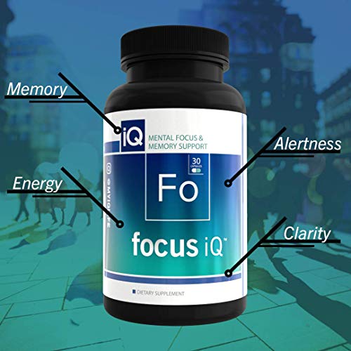 ginkgo biloba and concentration support