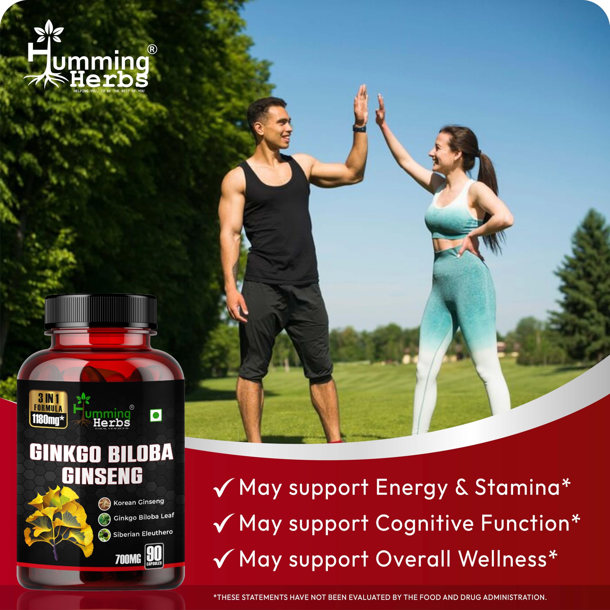ginkgo biloba and ginseng combination