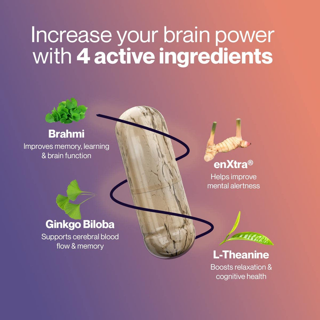 ginkgo biloba and L-Theanine synergy