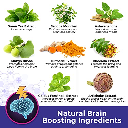 ginkgo biloba and memory enhancement