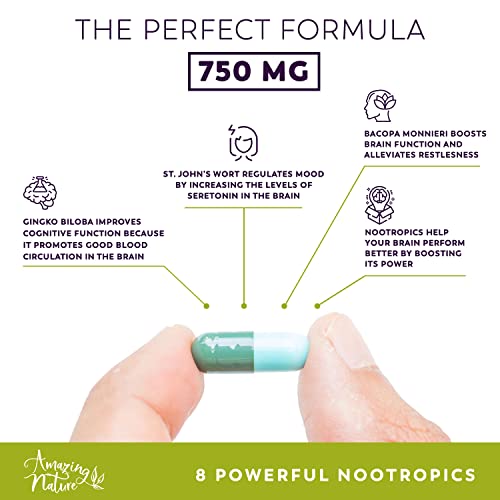 ginkgo biloba and mental performance