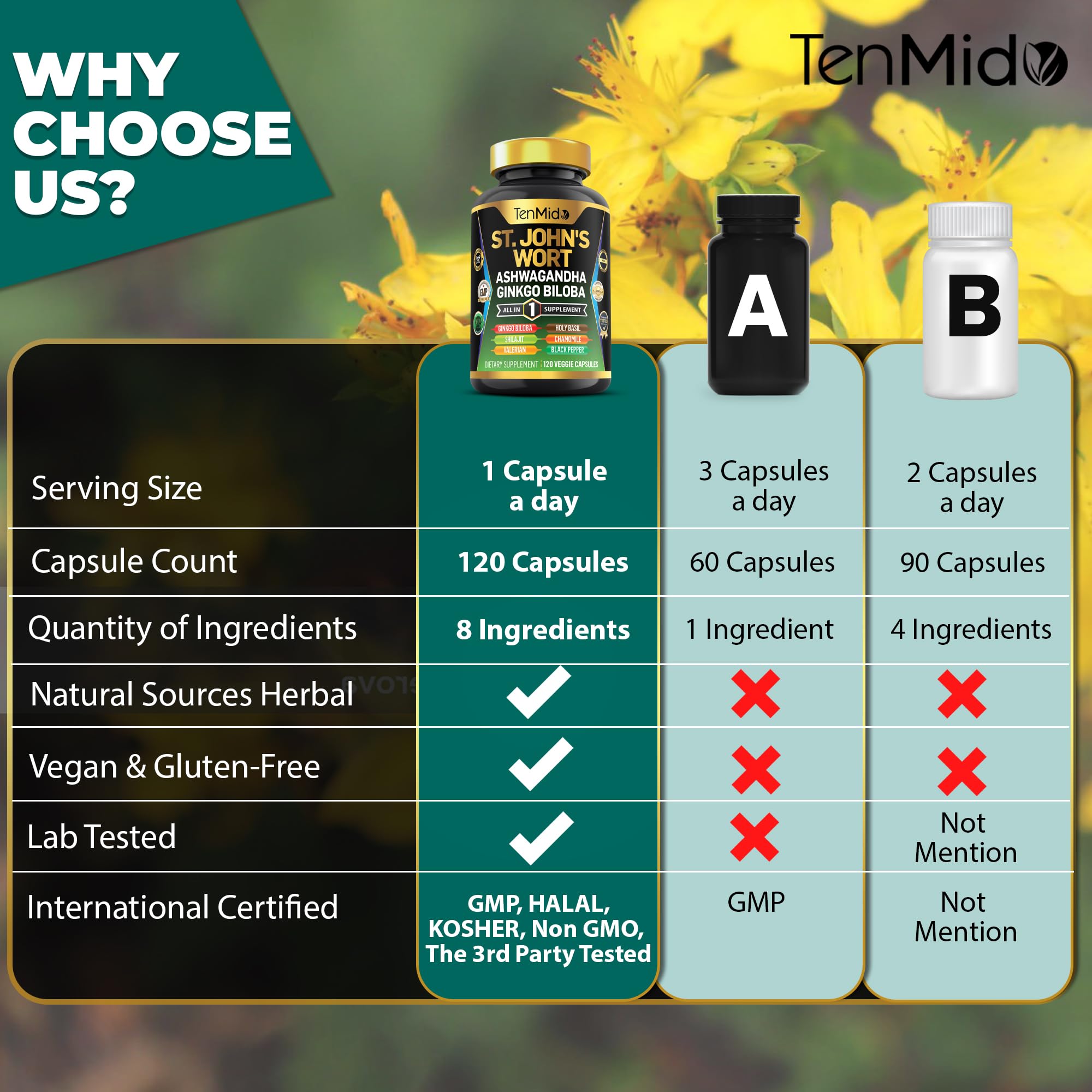 ginkgo biloba and st. john's wort