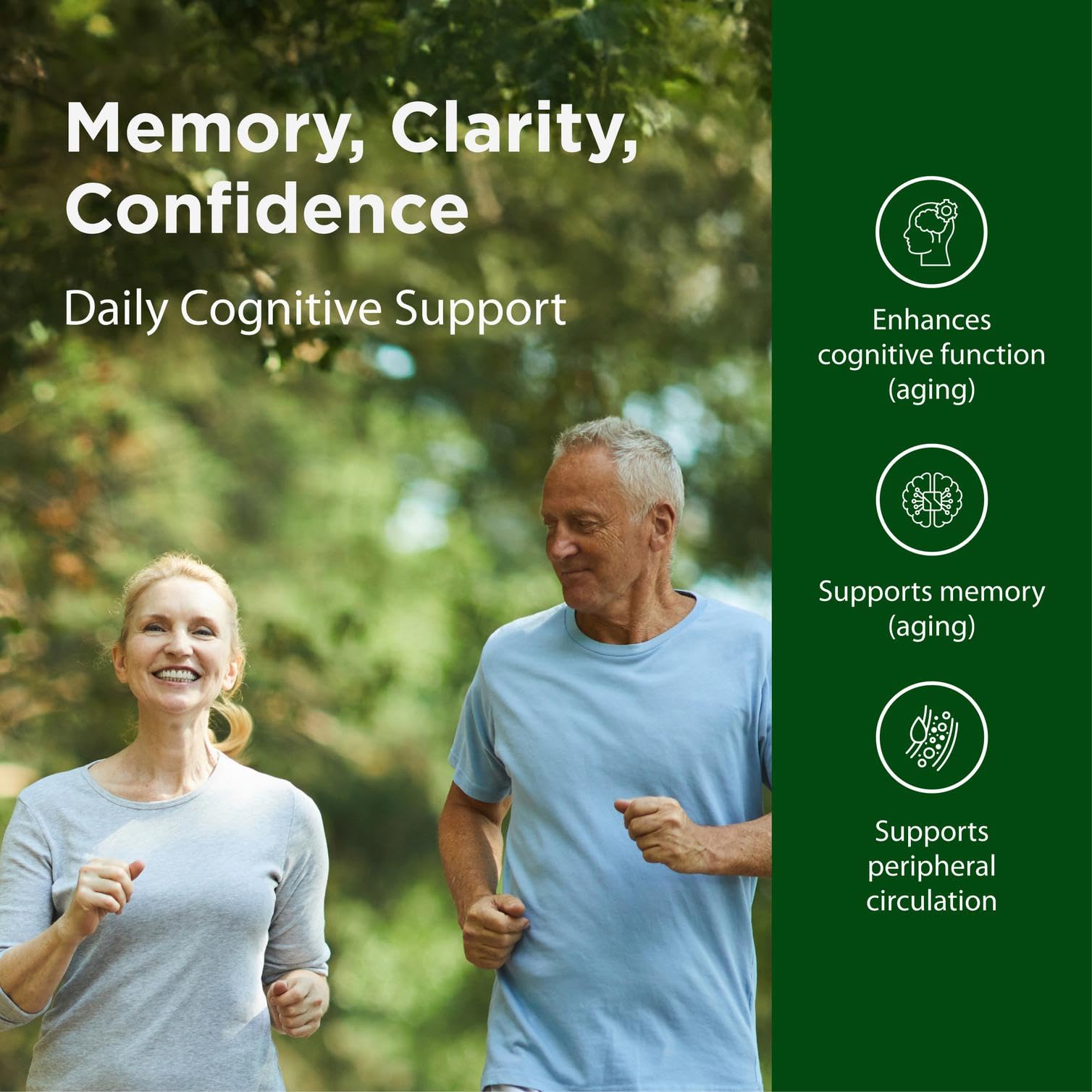 ginkgo biloba and tinnitus relief