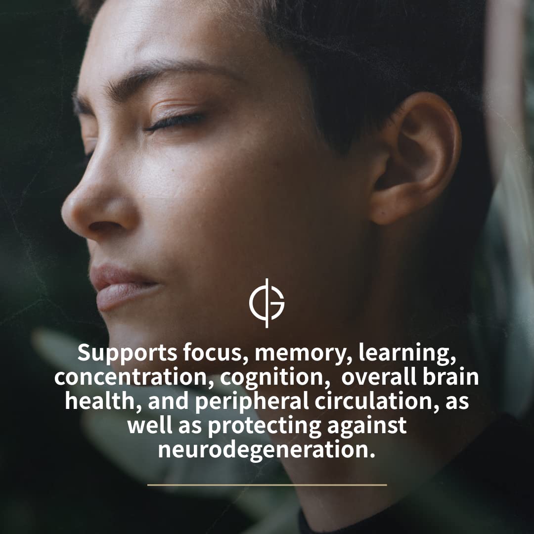 ginkgo biloba and tinnitus relief