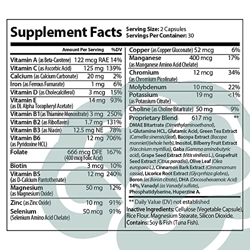 ginkgo biloba and tinnitus relief
