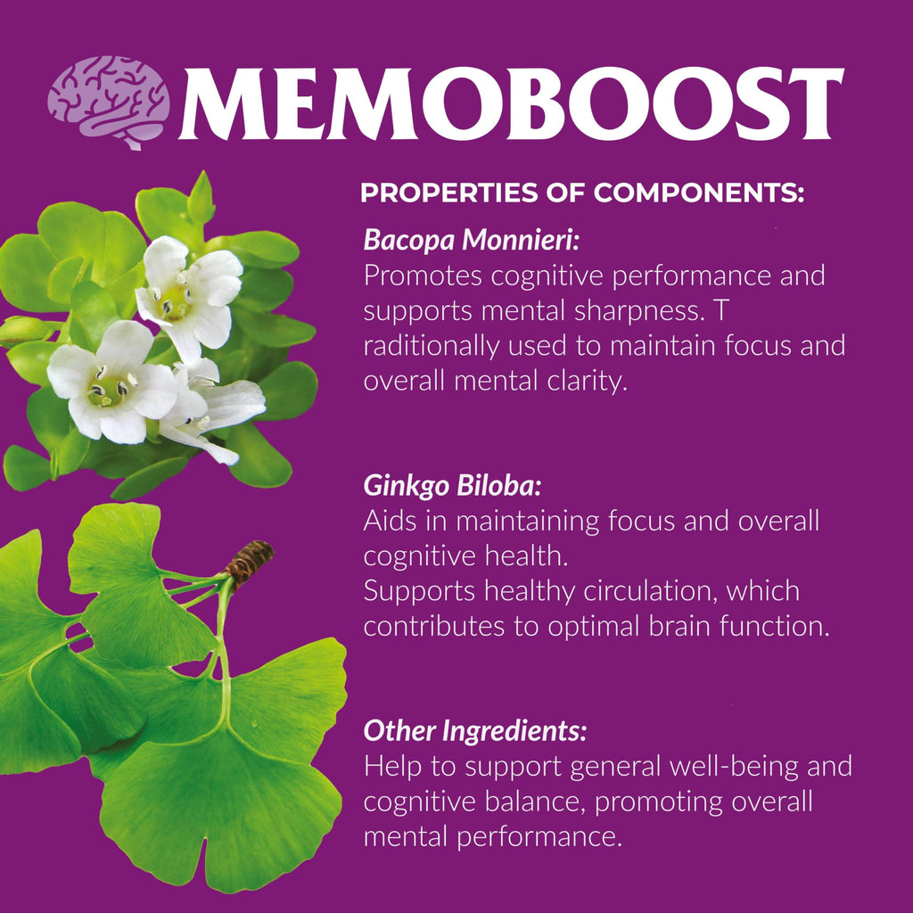 ginkgo biloba and tinnitus relief