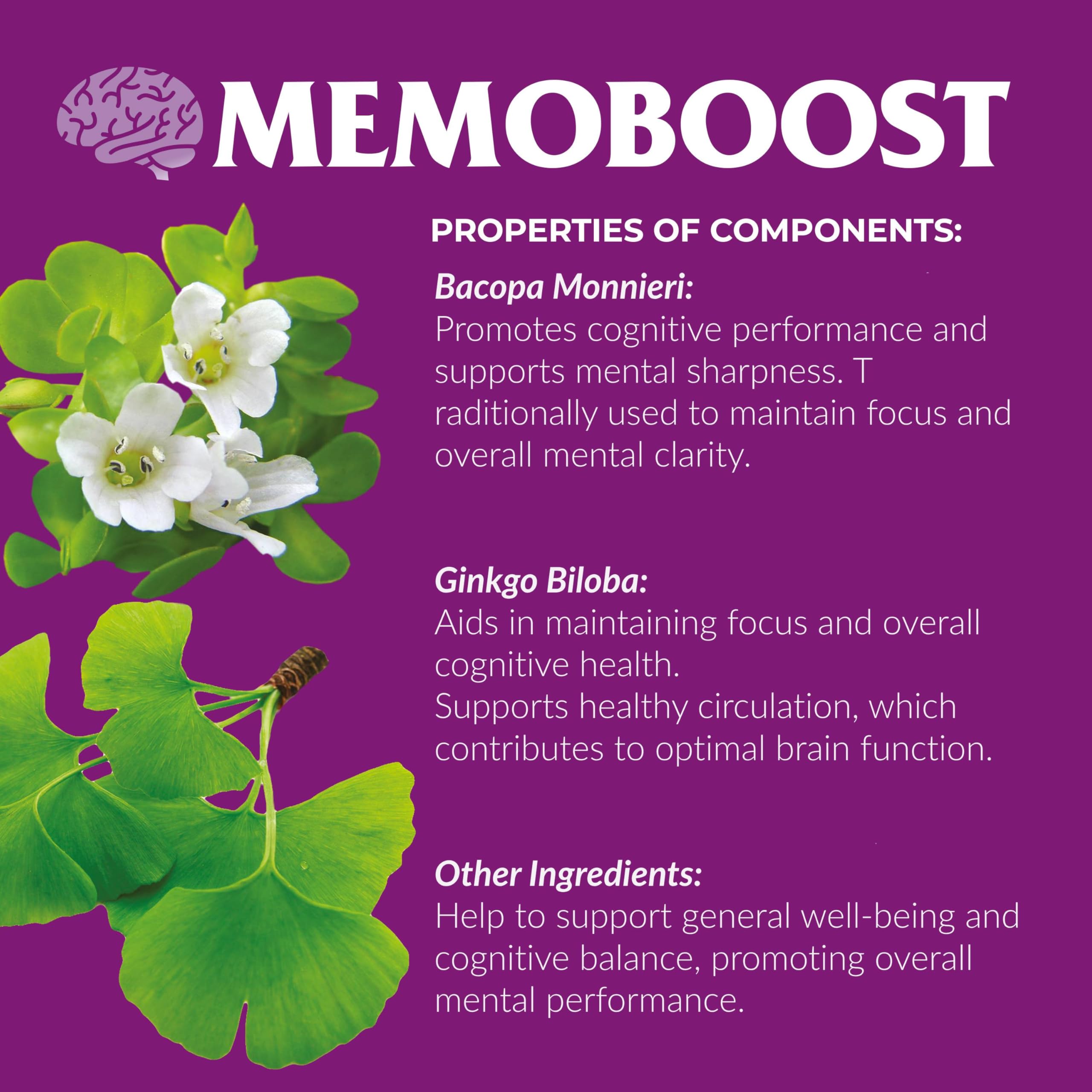ginkgo biloba and tinnitus relief