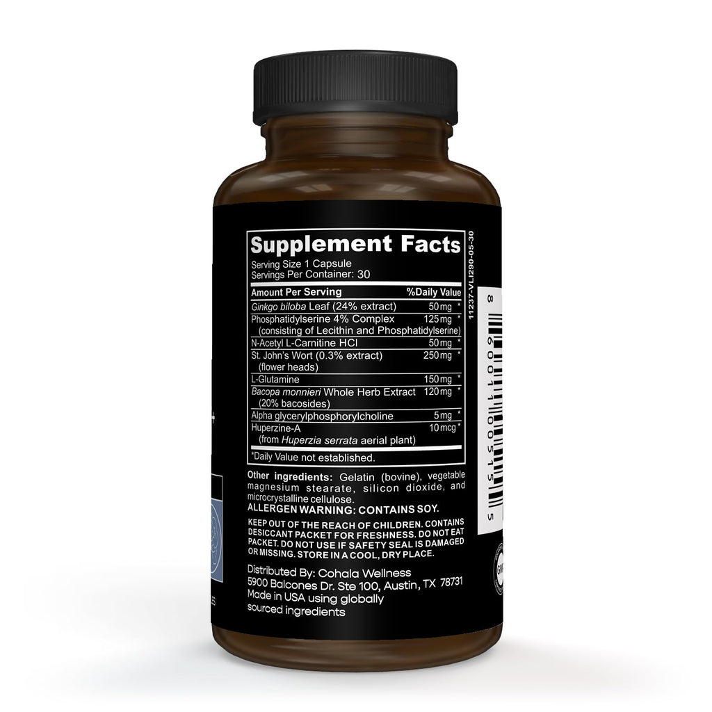 ginkgo biloba benefits for brain function