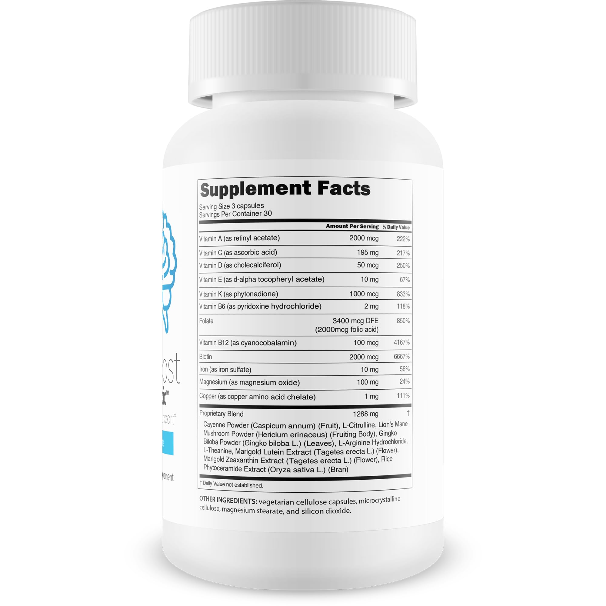 ginkgo biloba benefits for brain health