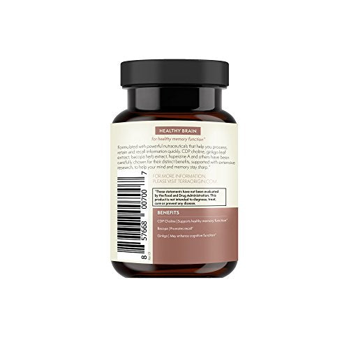 ginkgo biloba benefits for brain health