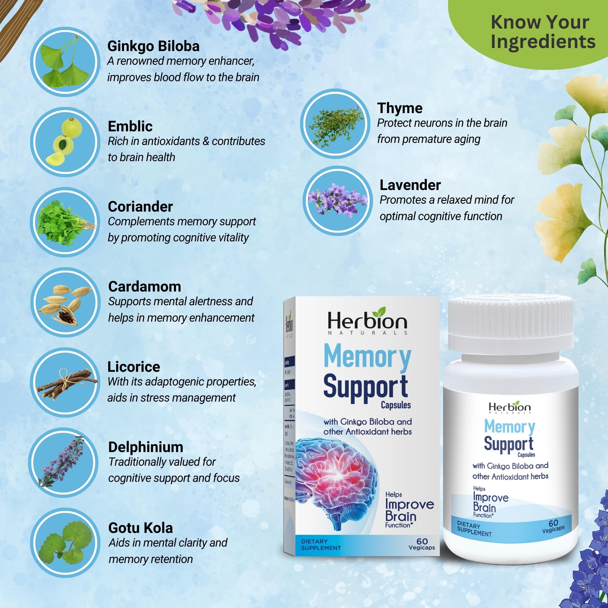 ginkgo biloba benefits for cognitive function