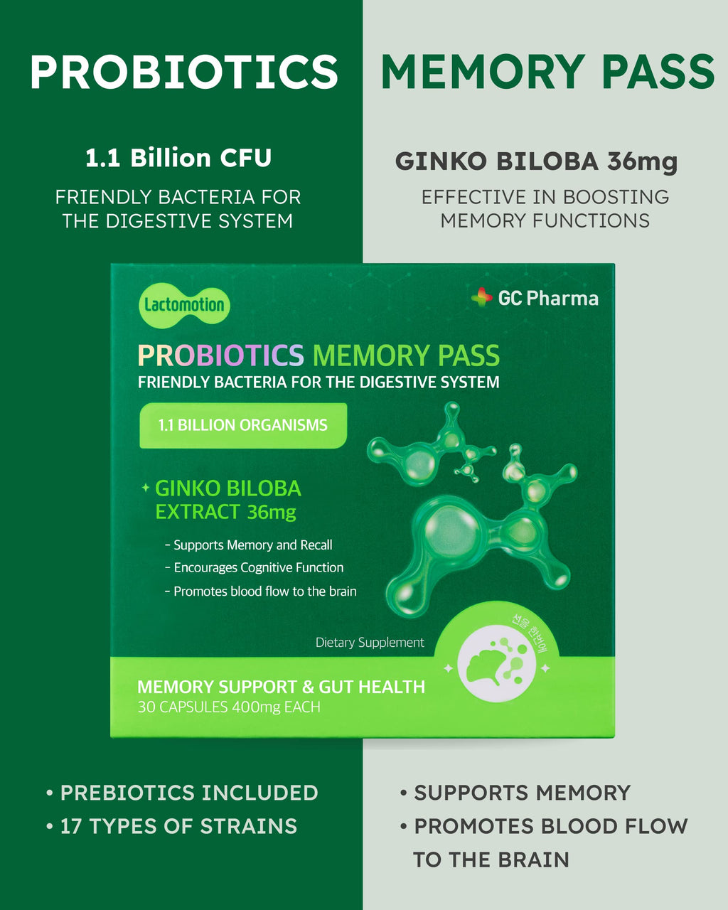 ginkgo biloba benefits for cognitive function