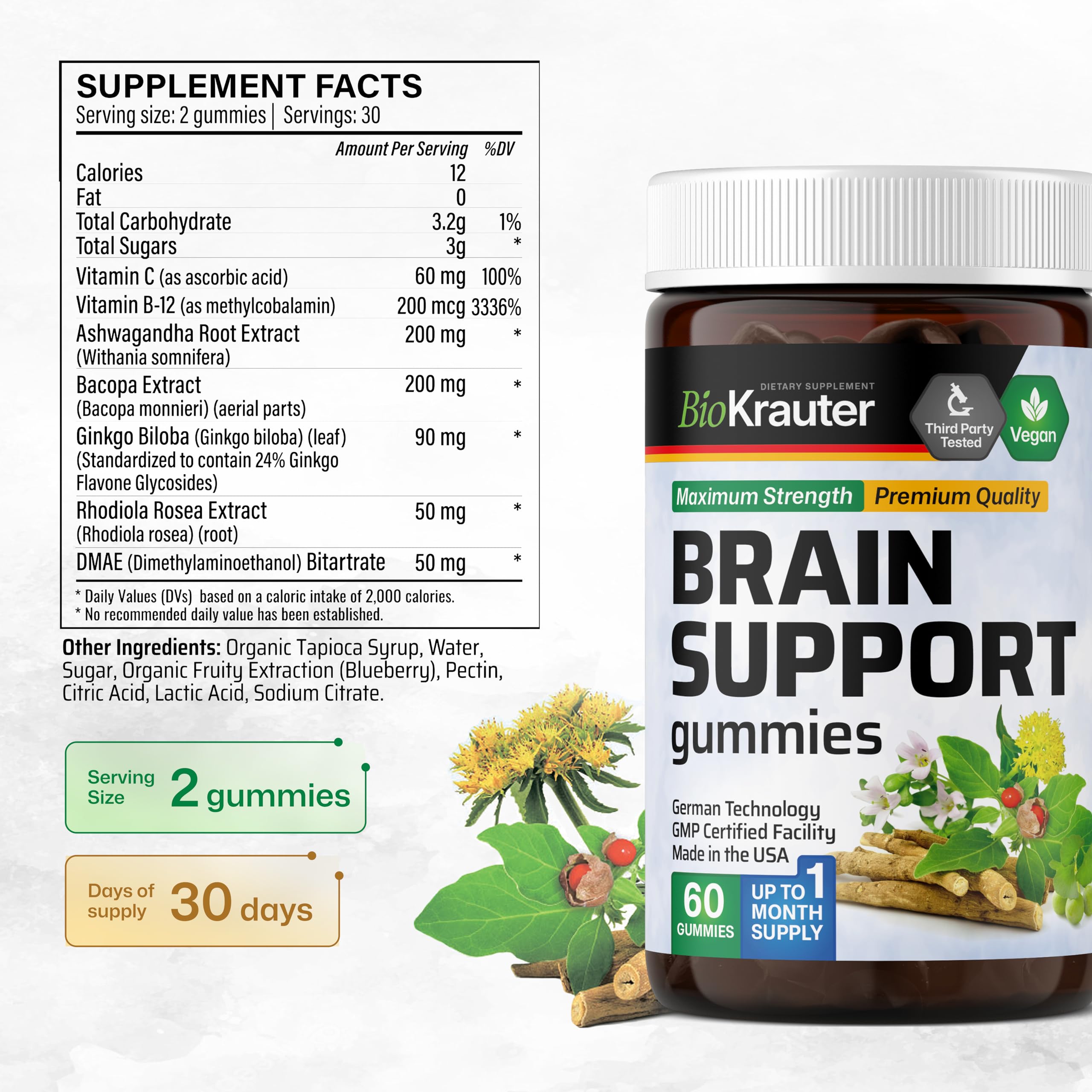 Ginkgo biloba benefits for cognitive function