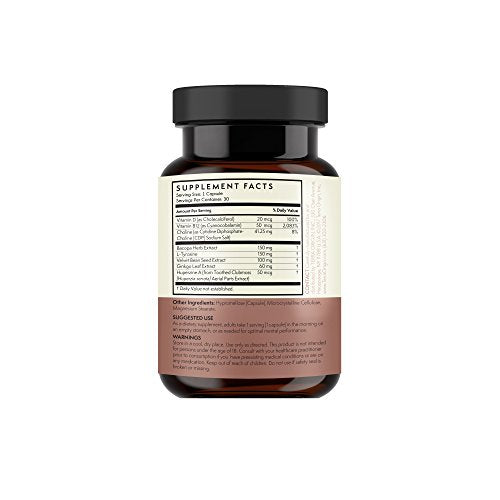 ginkgo biloba benefits for cognitive function