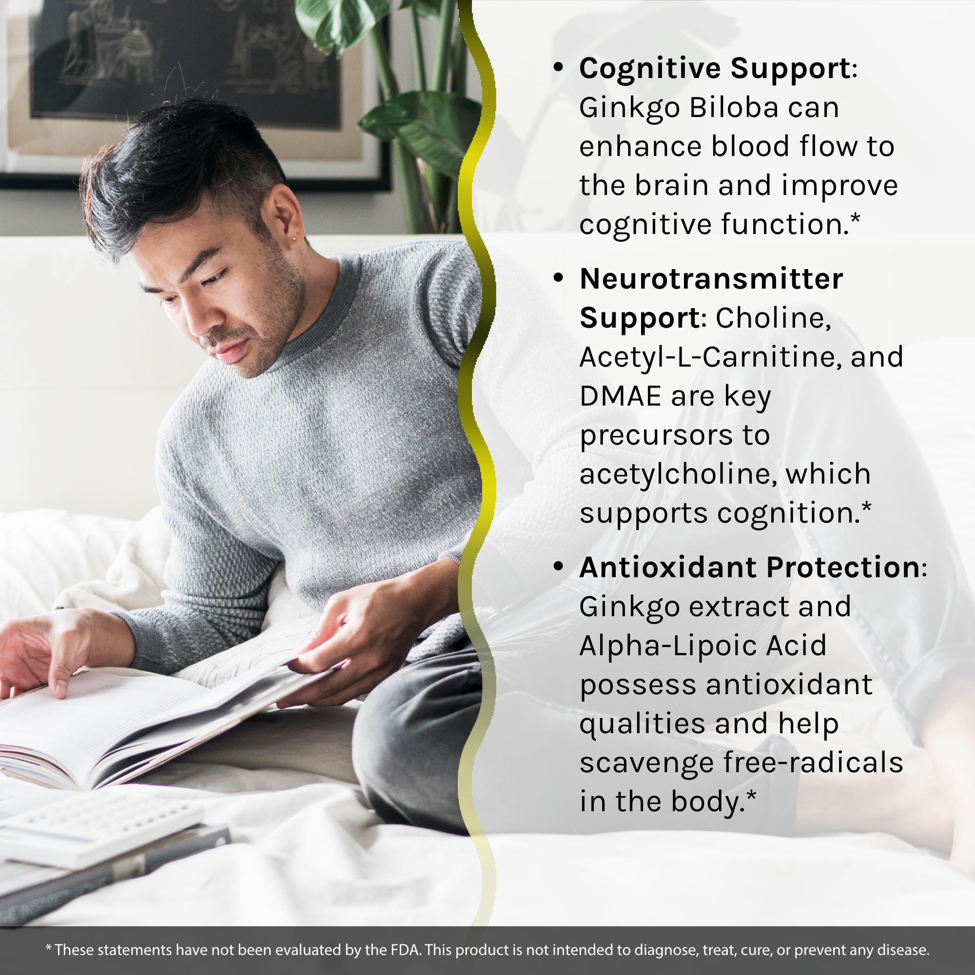 ginkgo biloba benefits for cognitive health