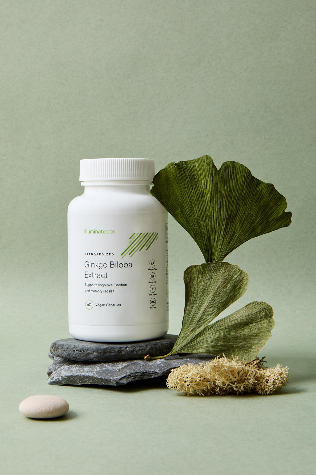 ginkgo biloba benefits for cognitive health