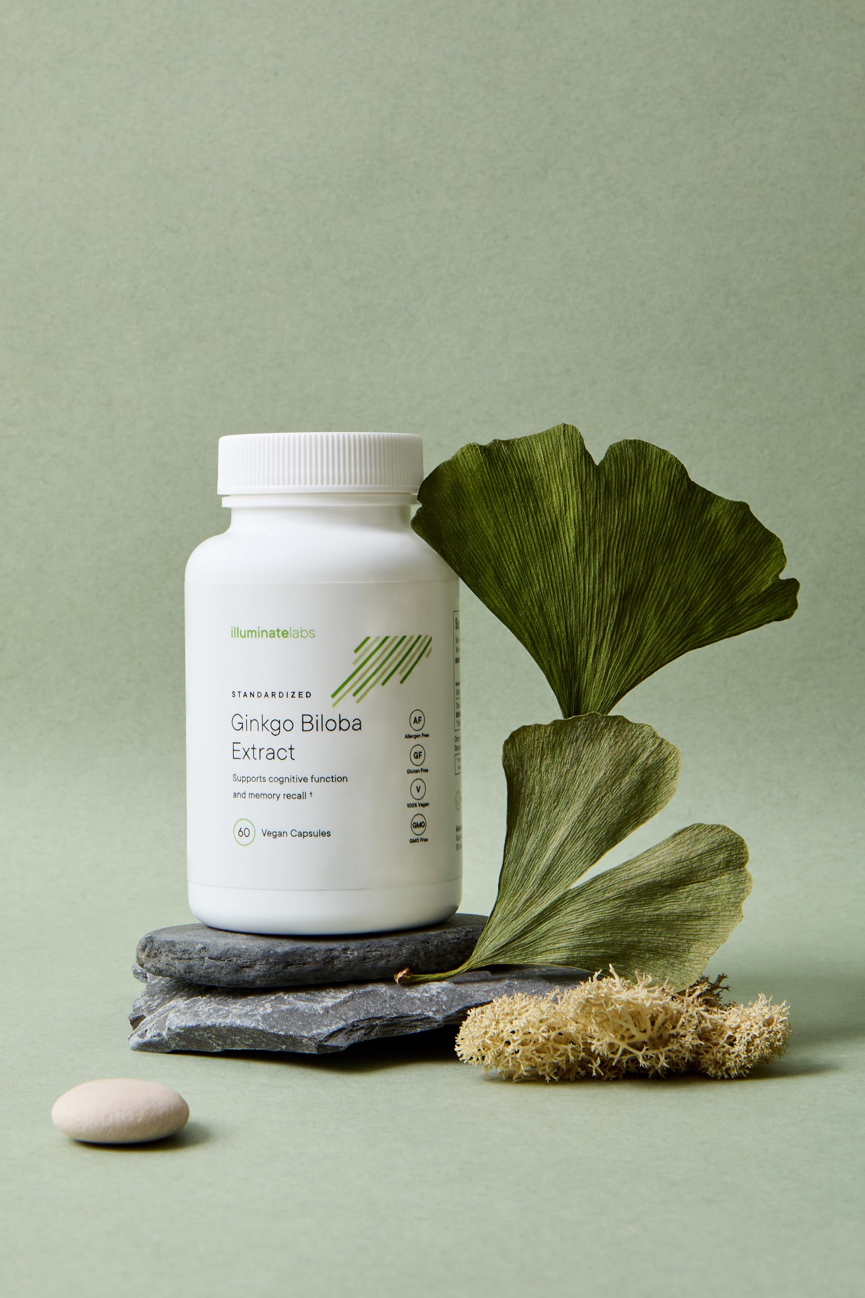 ginkgo biloba benefits for cognitive health