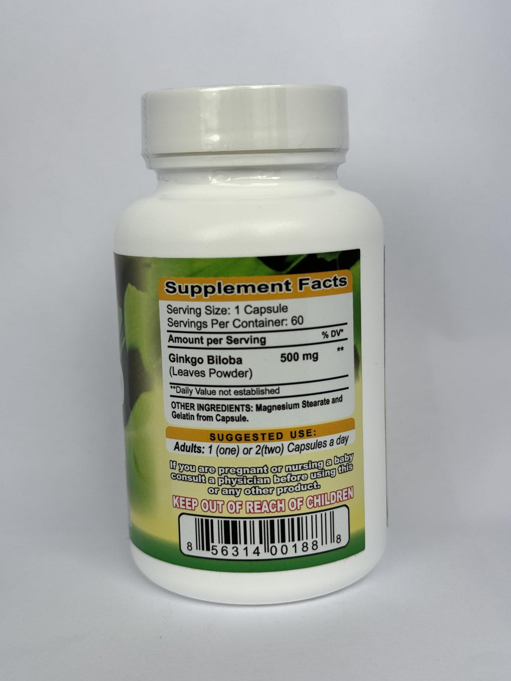 ginkgo biloba benefits for cognitive health