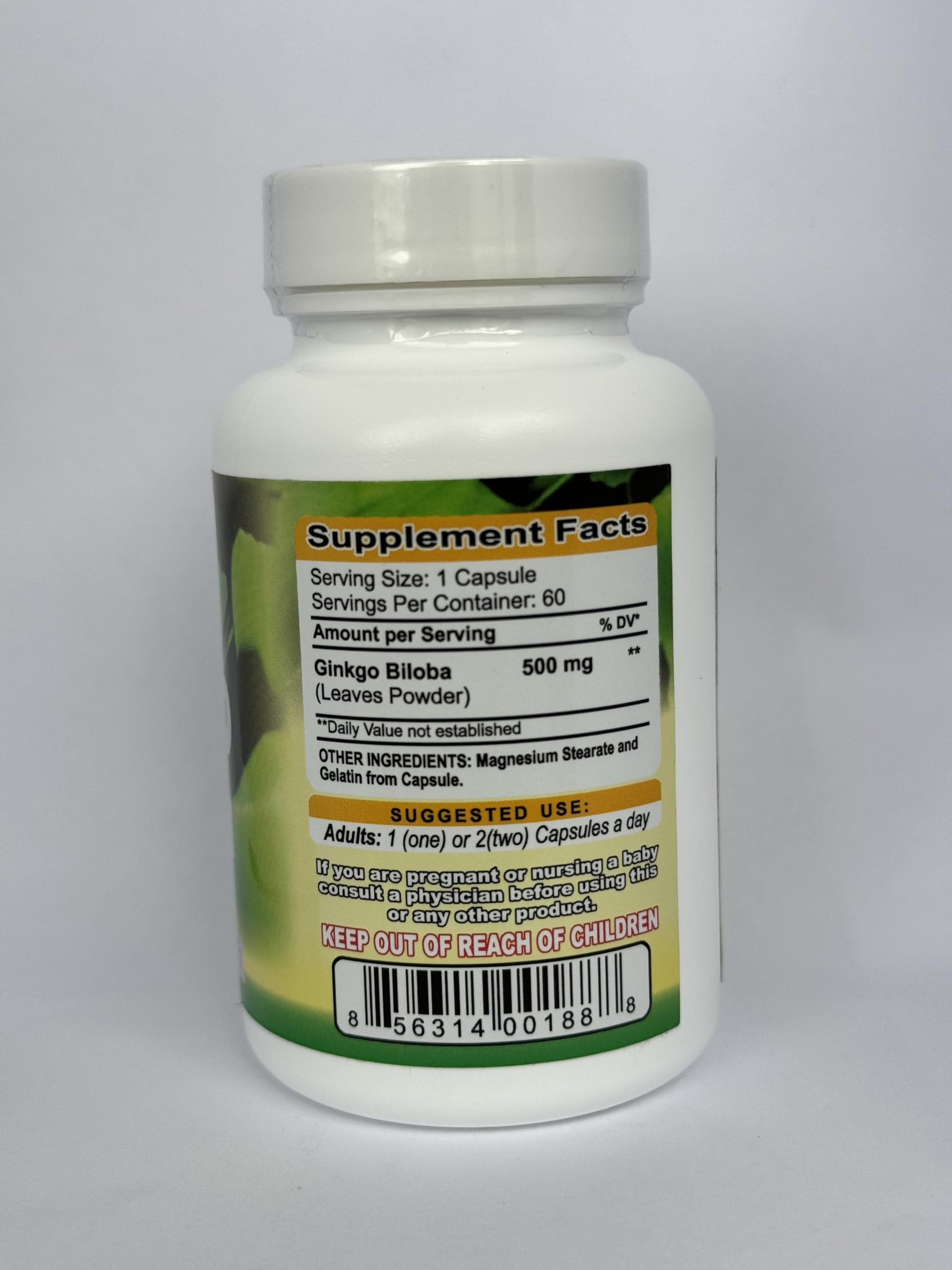 ginkgo biloba benefits for cognitive health