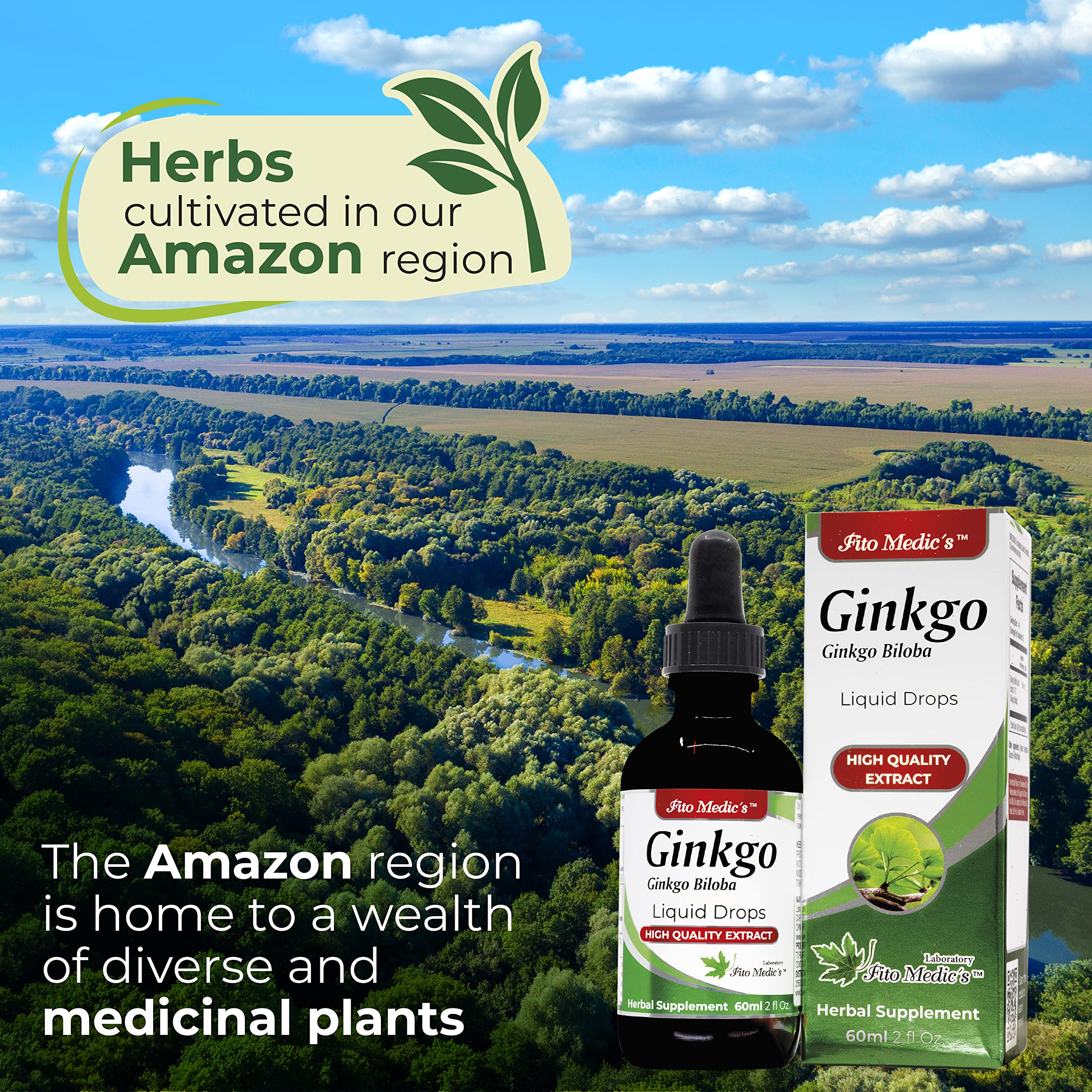 ginkgo biloba benefits for concentration