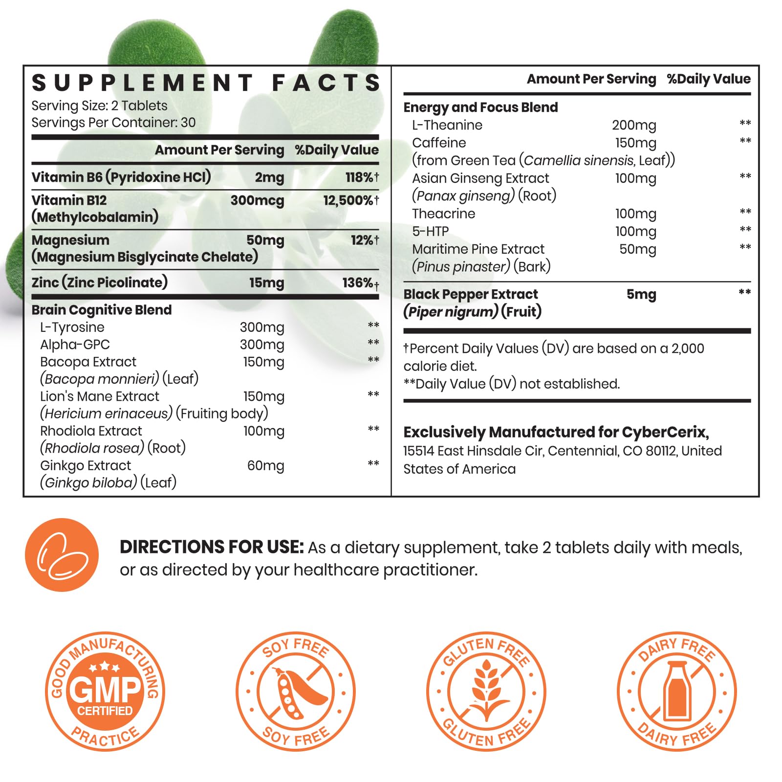 ginkgo biloba benefits for energy boost