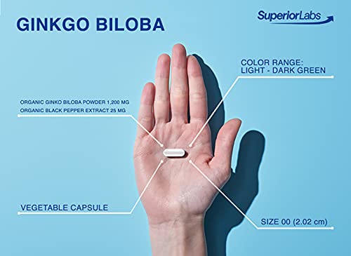 ginkgo biloba benefits for female health