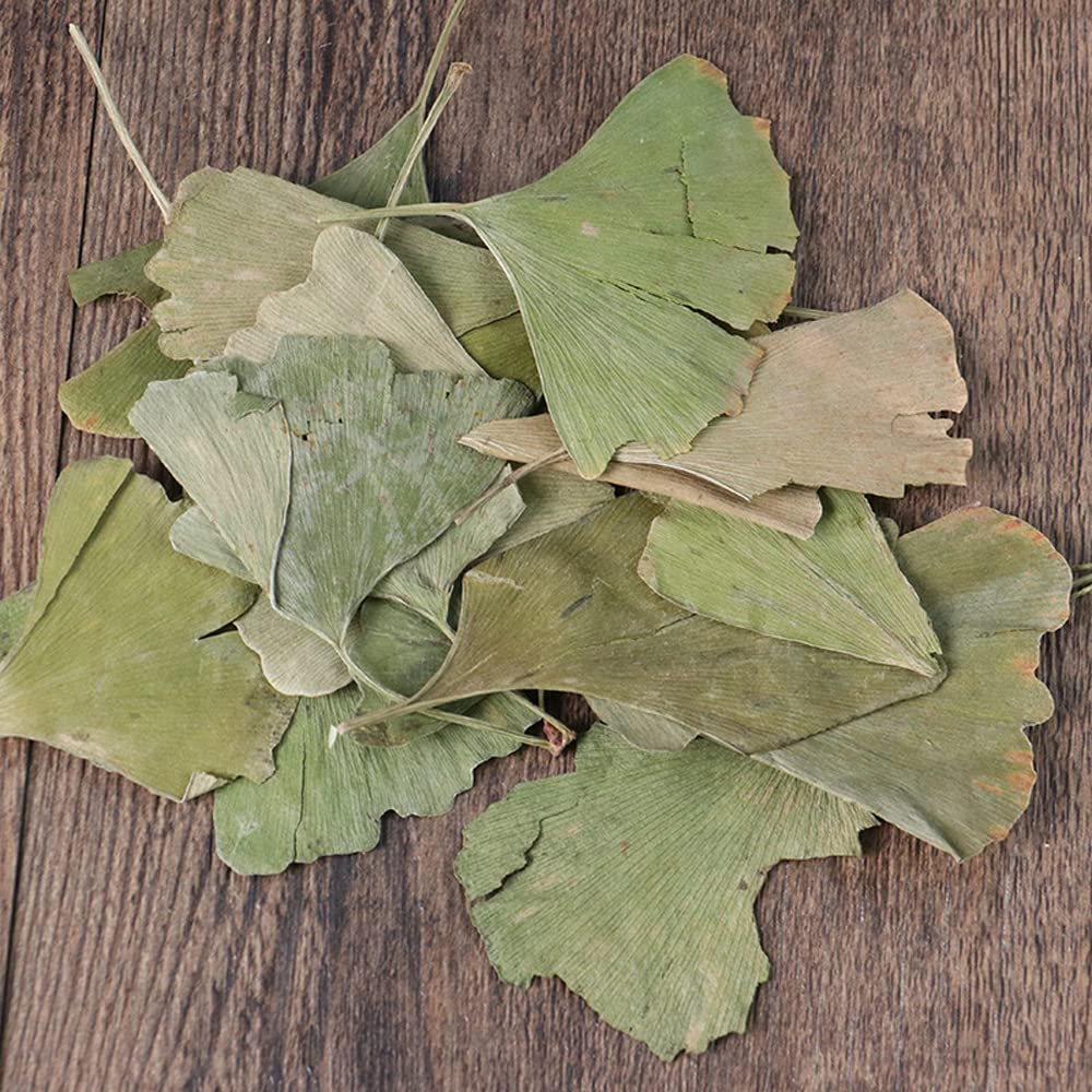 ginkgo biloba benefits for female health