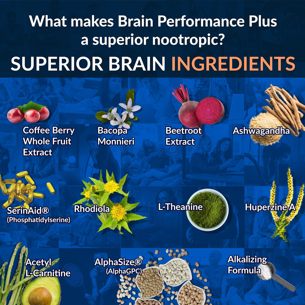 ginkgo biloba benefits for female wellness