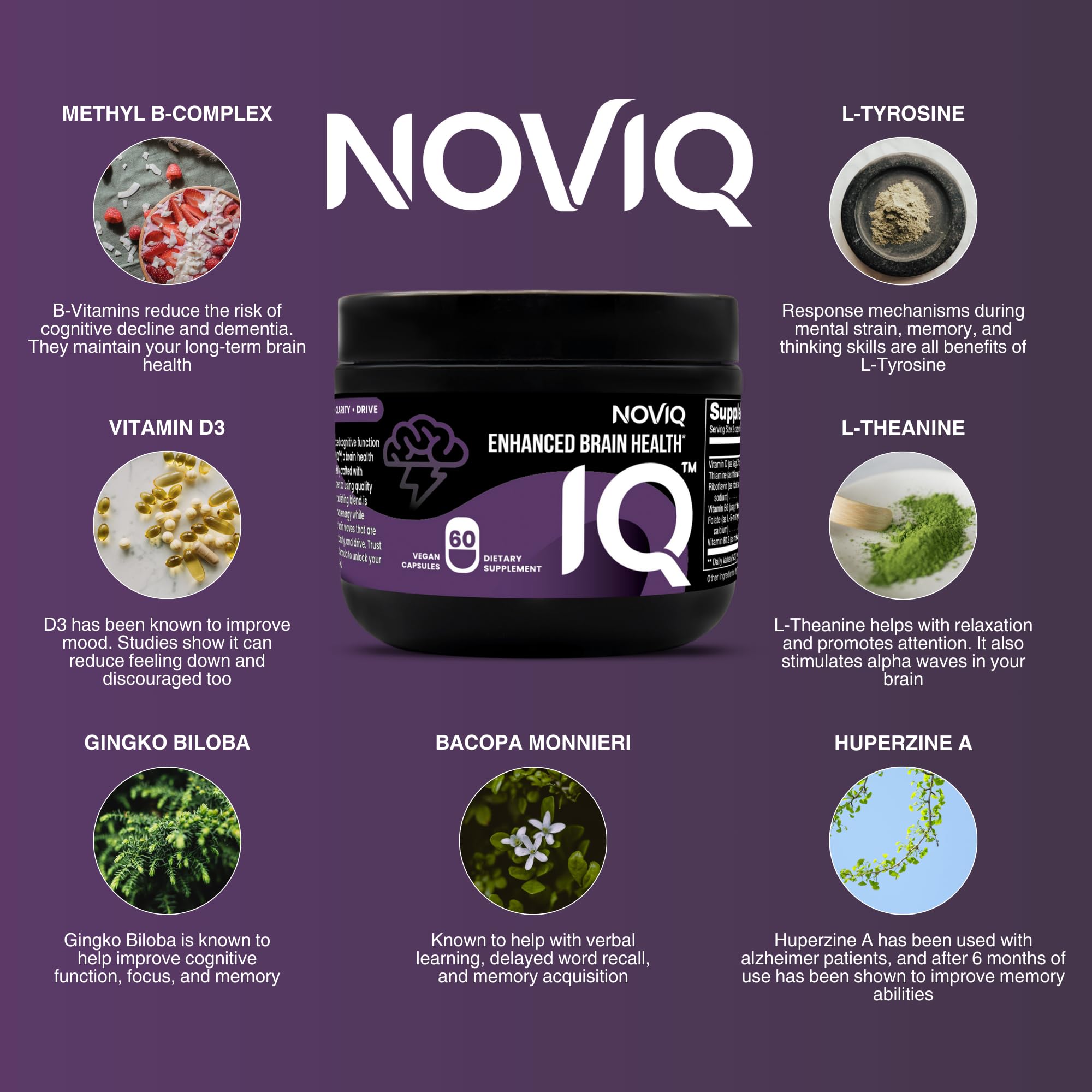 ginkgo biloba benefits for focus