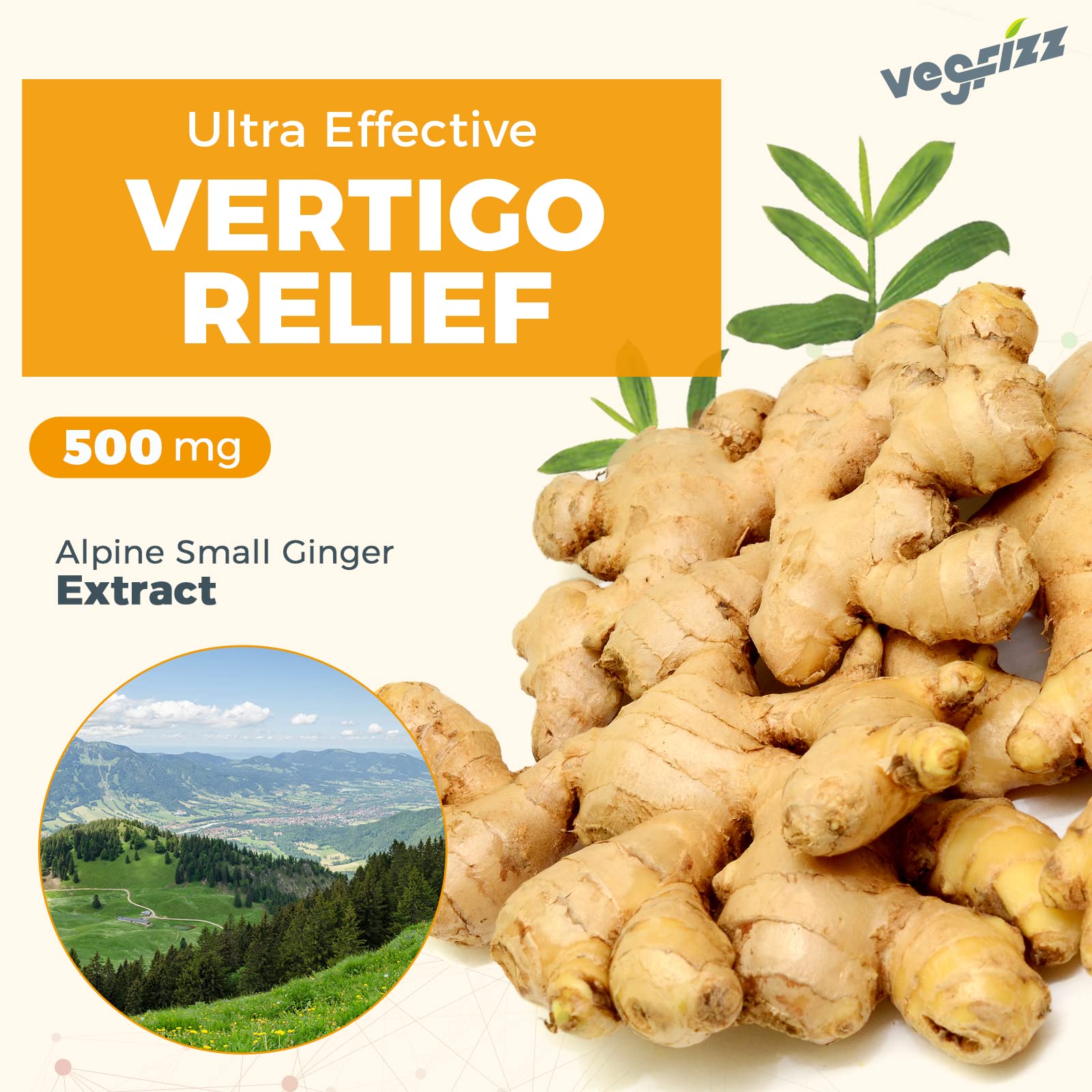 ginkgo biloba benefits for memory enhancement