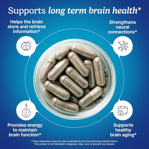 ginkgo biloba benefits for memory improvement