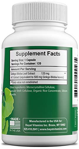 ginkgo biloba benefits for memory support