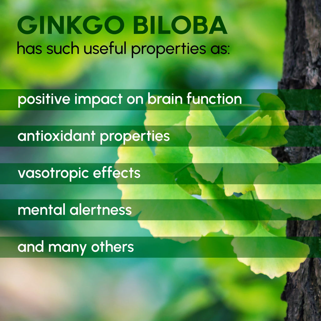 ginkgo biloba benefits for mental alertness
