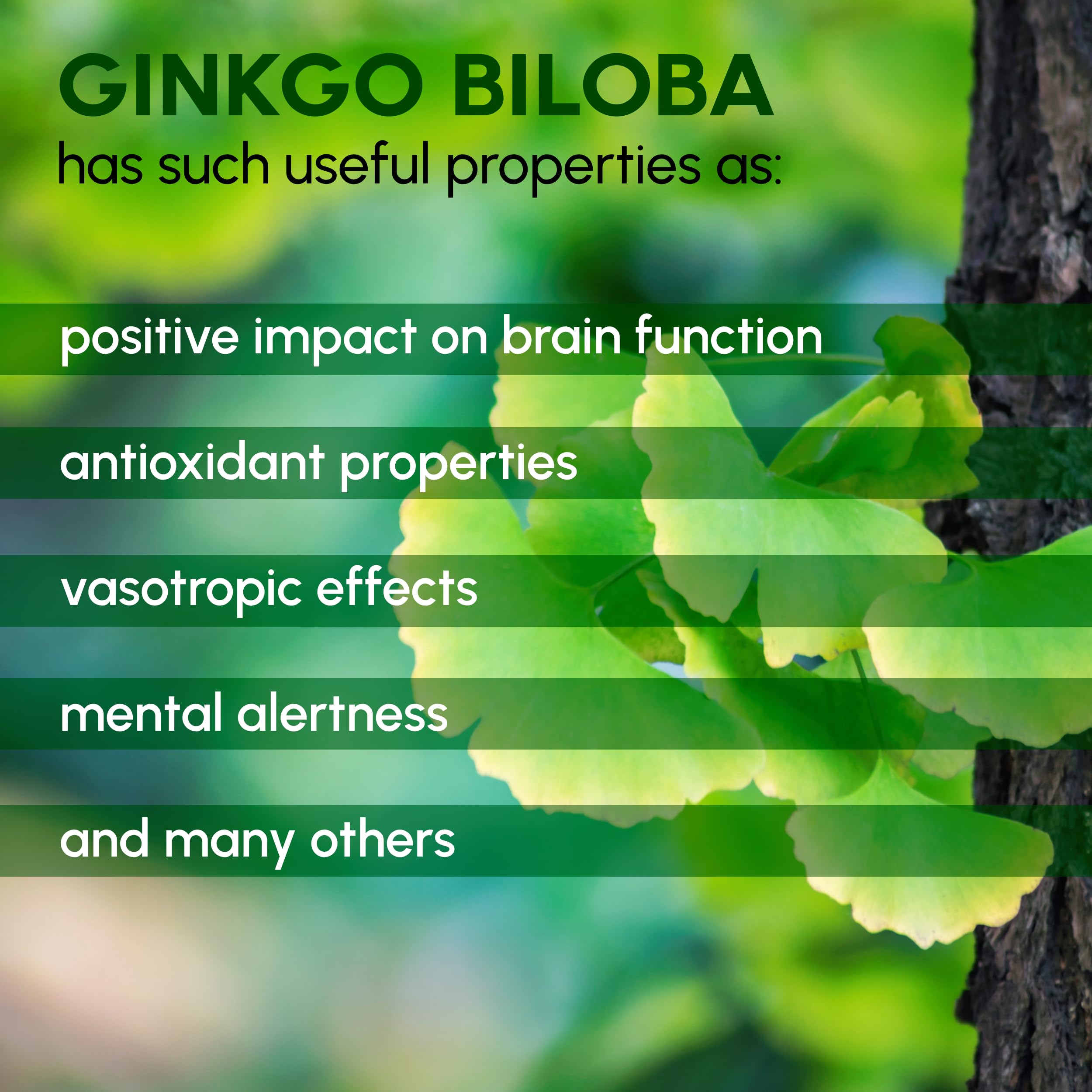 ginkgo biloba benefits for mental alertness