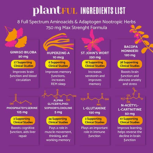 ginkgo biloba benefits for mental clarity