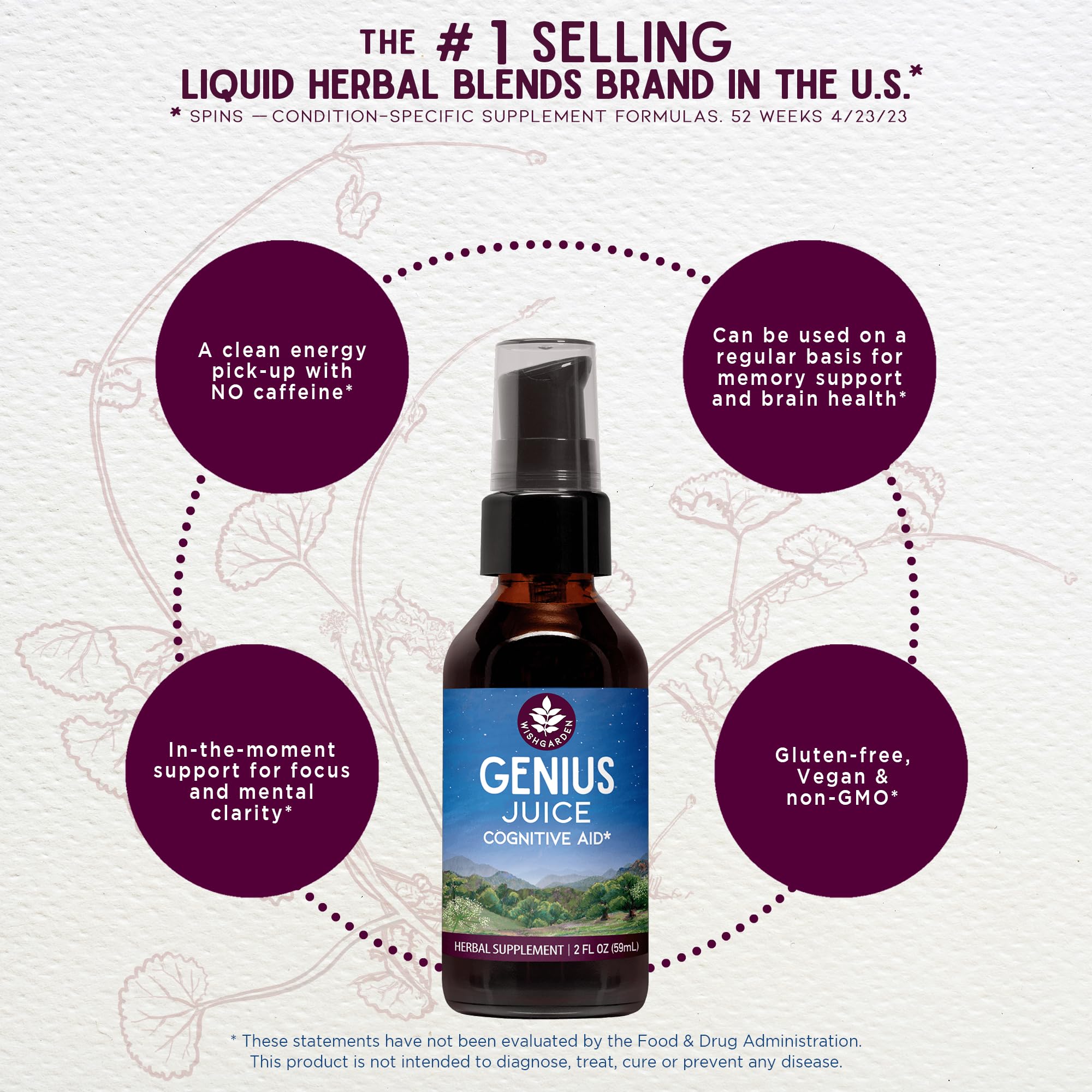 Ginkgo biloba benefits for mental clarity