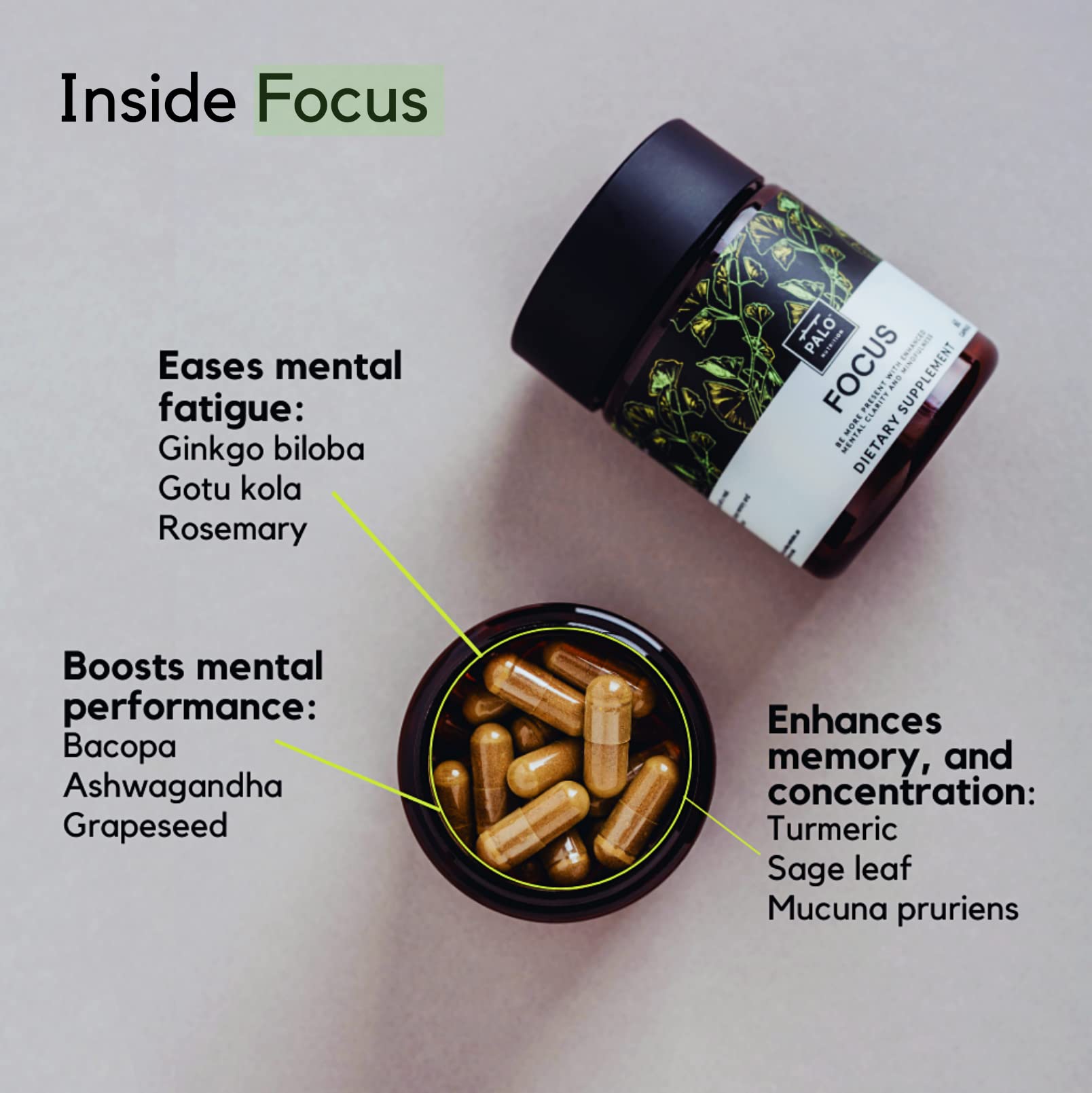 ginkgo biloba benefits for mental clarity
