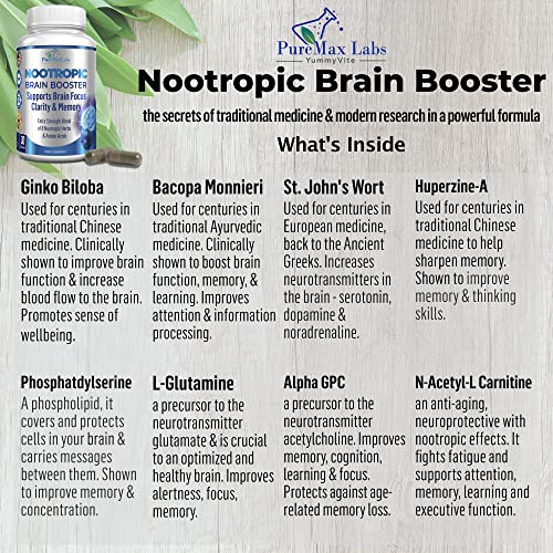 Ginkgo biloba benefits for mental clarity