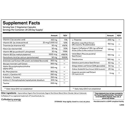 ginkgo biloba benefits for mental energy