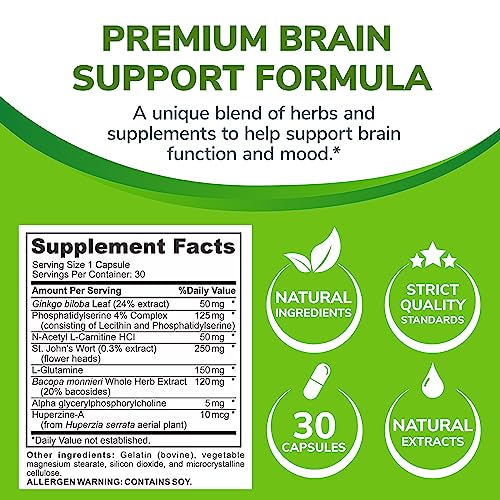ginkgo biloba benefits for mental performance